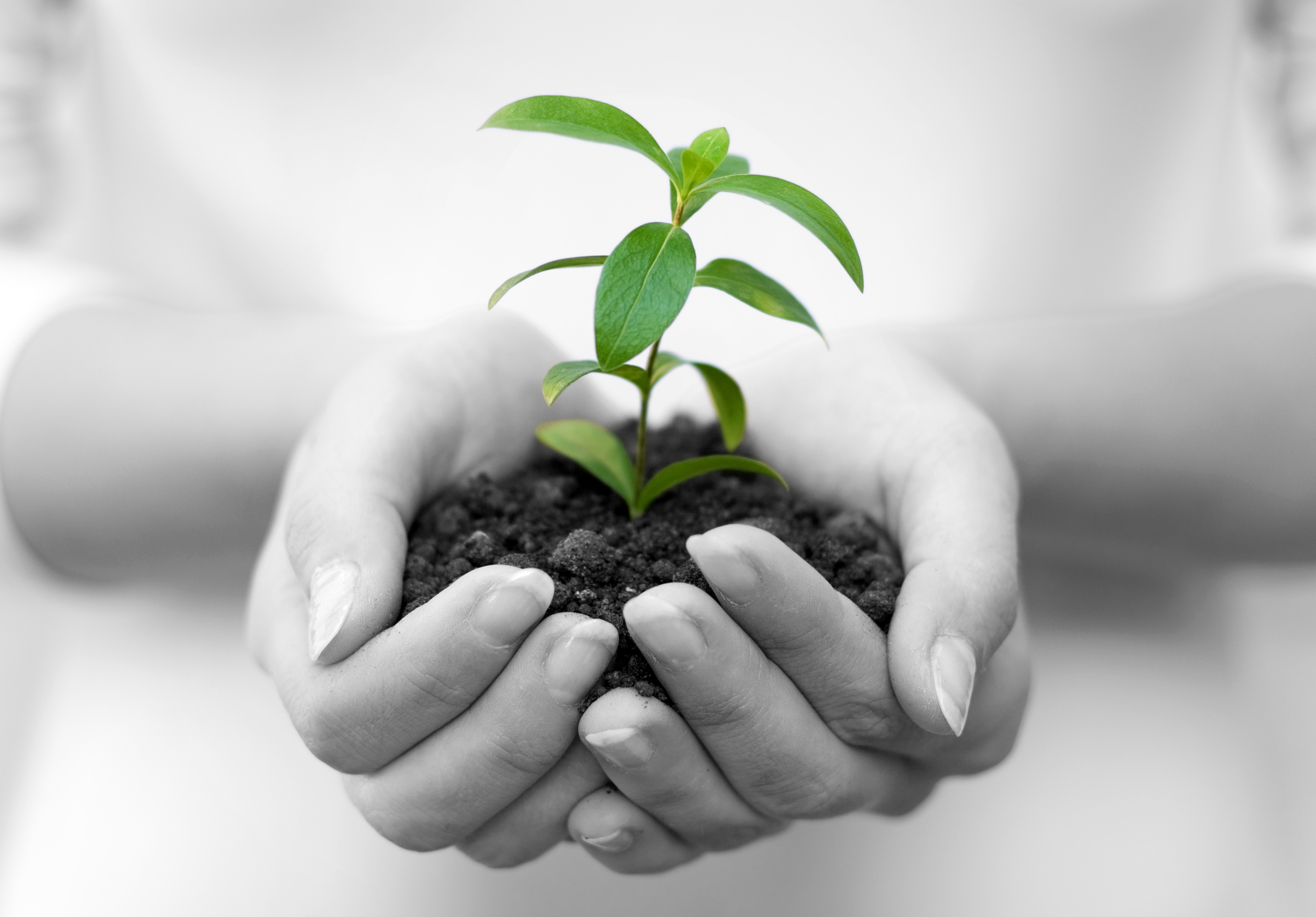 The Berlin Principles on One Health | Oxford in Berlin